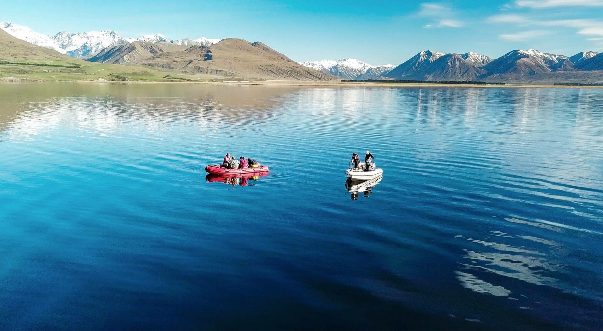 Cawthron's Precision eDNA Services for Aquatic Environments