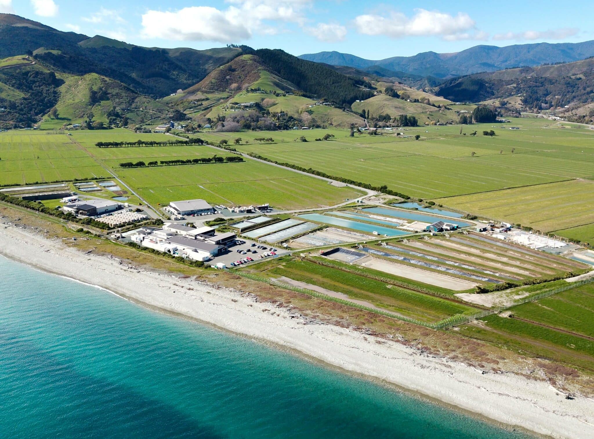 Innovative eDNA Technologies for Environment Protection | Cawthron